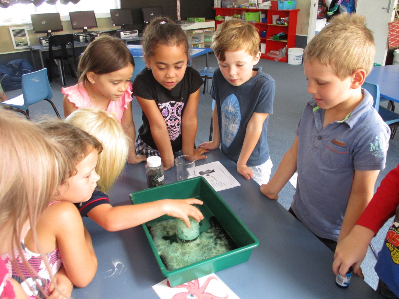 Sparkly Science – Tomarata School