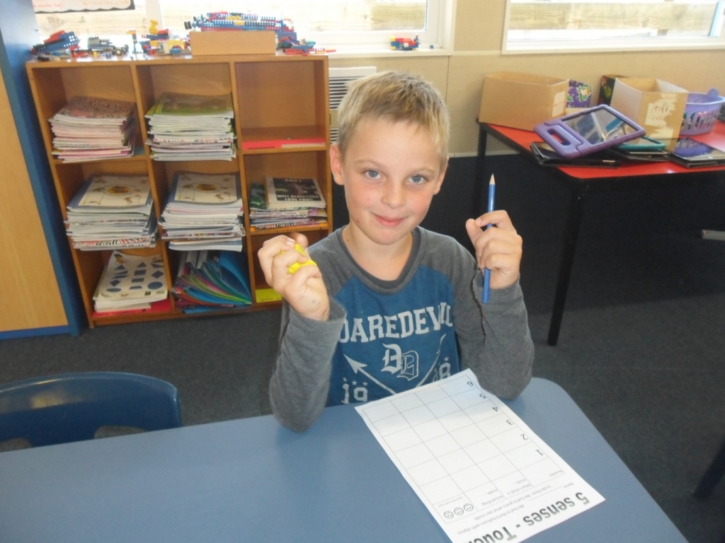 Five Senses – Touch Experiment – Tomarata School