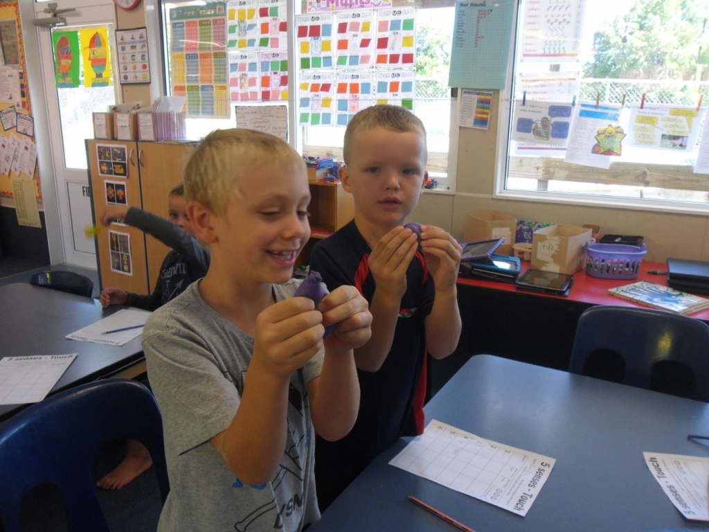 Five Senses – Touch Experiment – Tomarata School