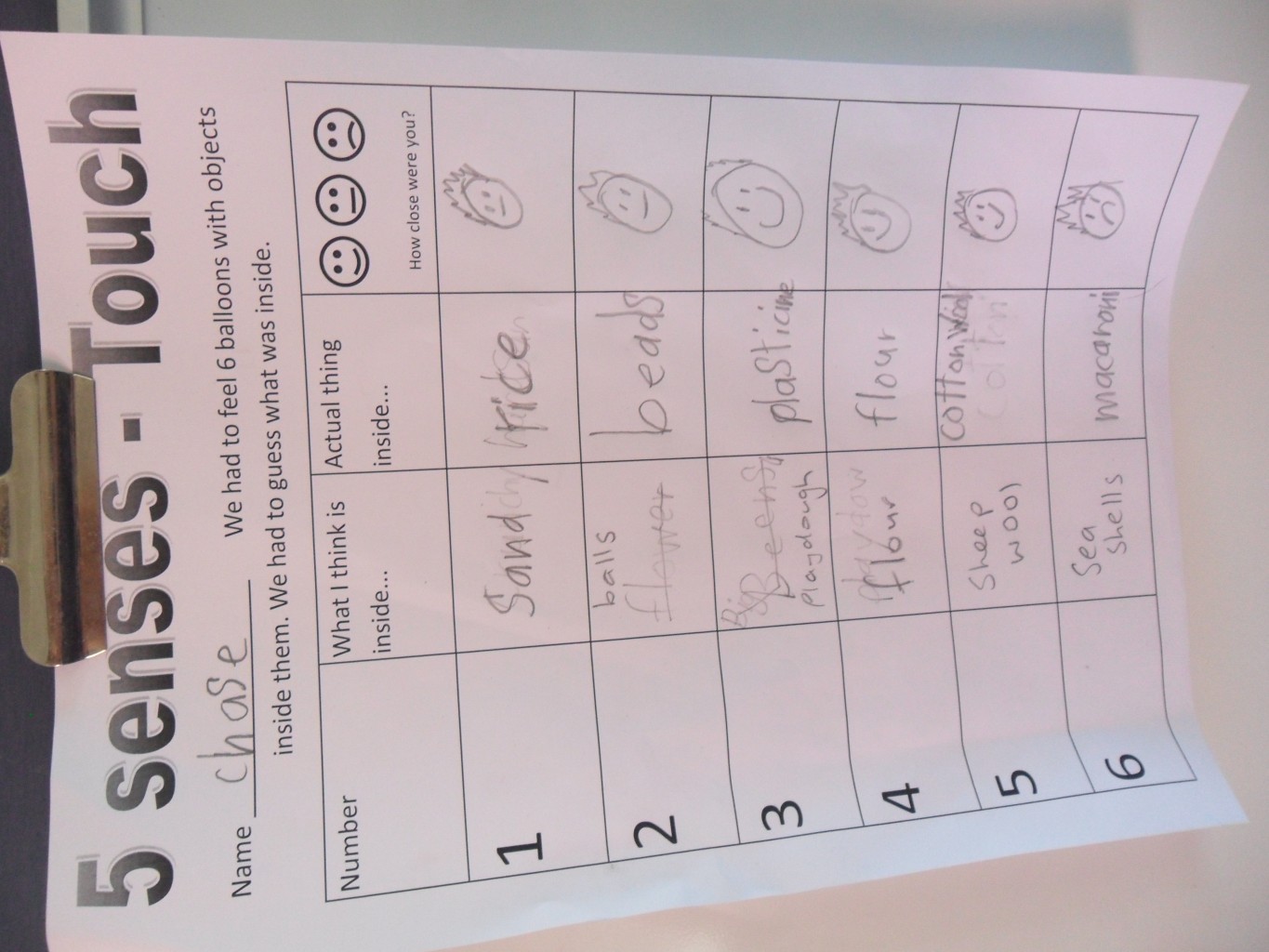 Five Senses – Touch Experiment – Tomarata School