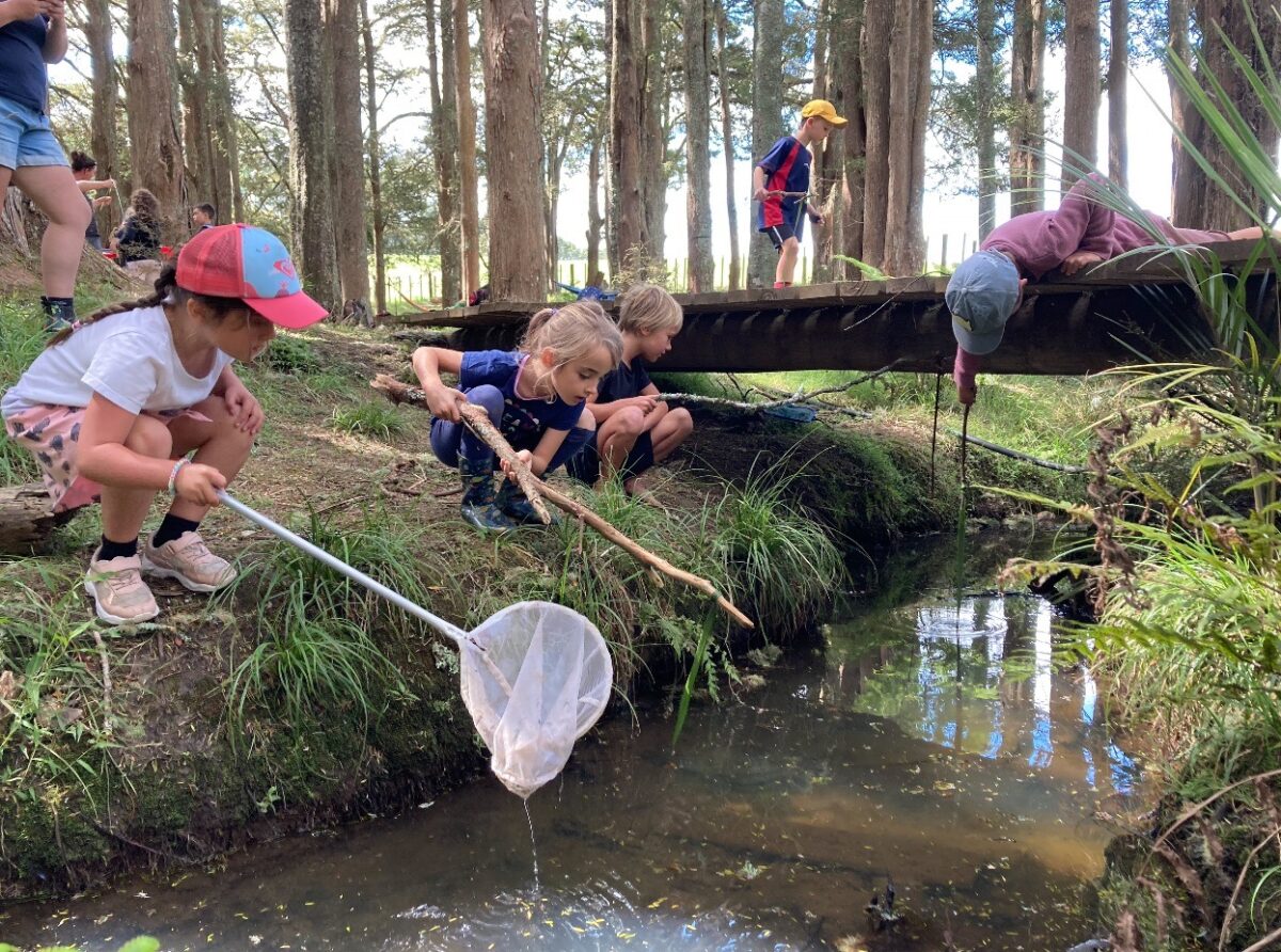 Nature Classroom – Tomarata School